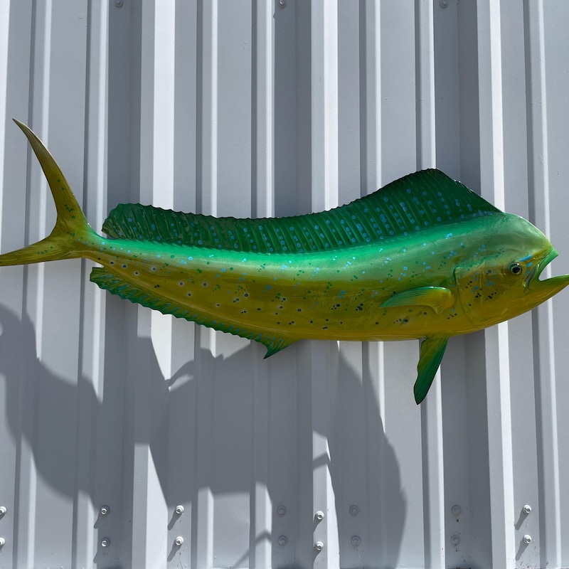 FishMounts - Etsy