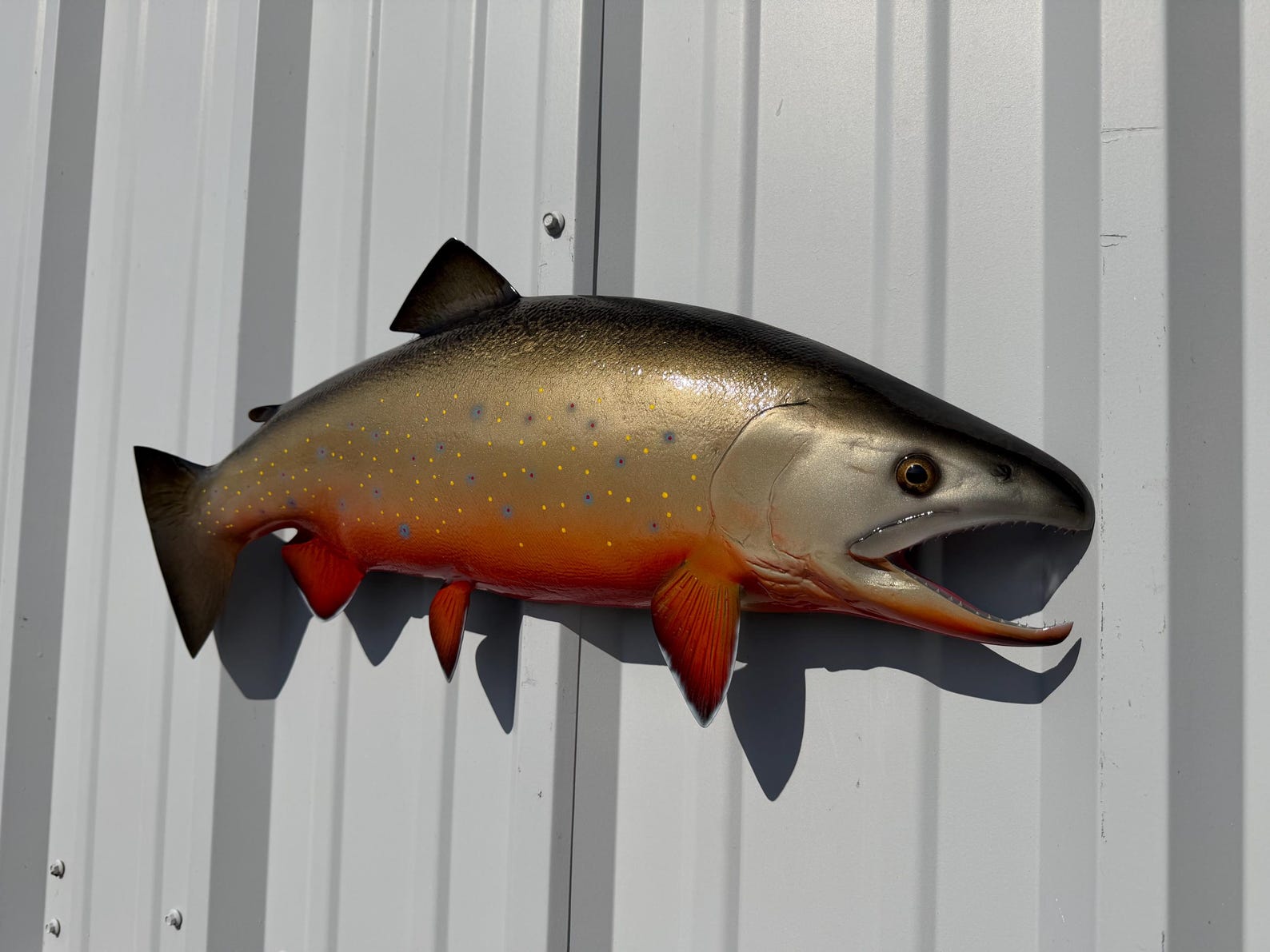 Brook Trout Fish Mount - 24 Inches - Half Mount - Etsy