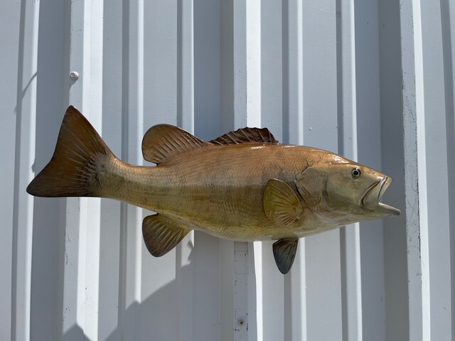 FishMounts - Etsy