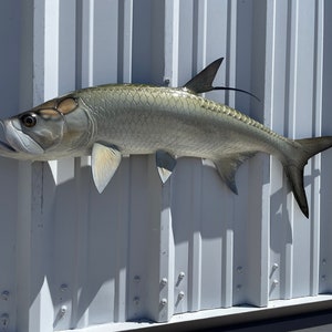 Tarpon Fish Mount - 40 Inches - Half Mount - Etsy