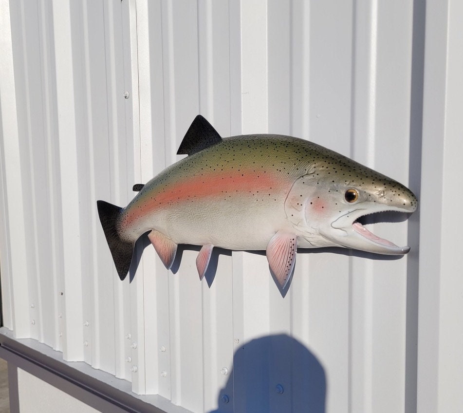 Rainbow Trout Fish Mount - 25 Inches - Half Mount - Etsy