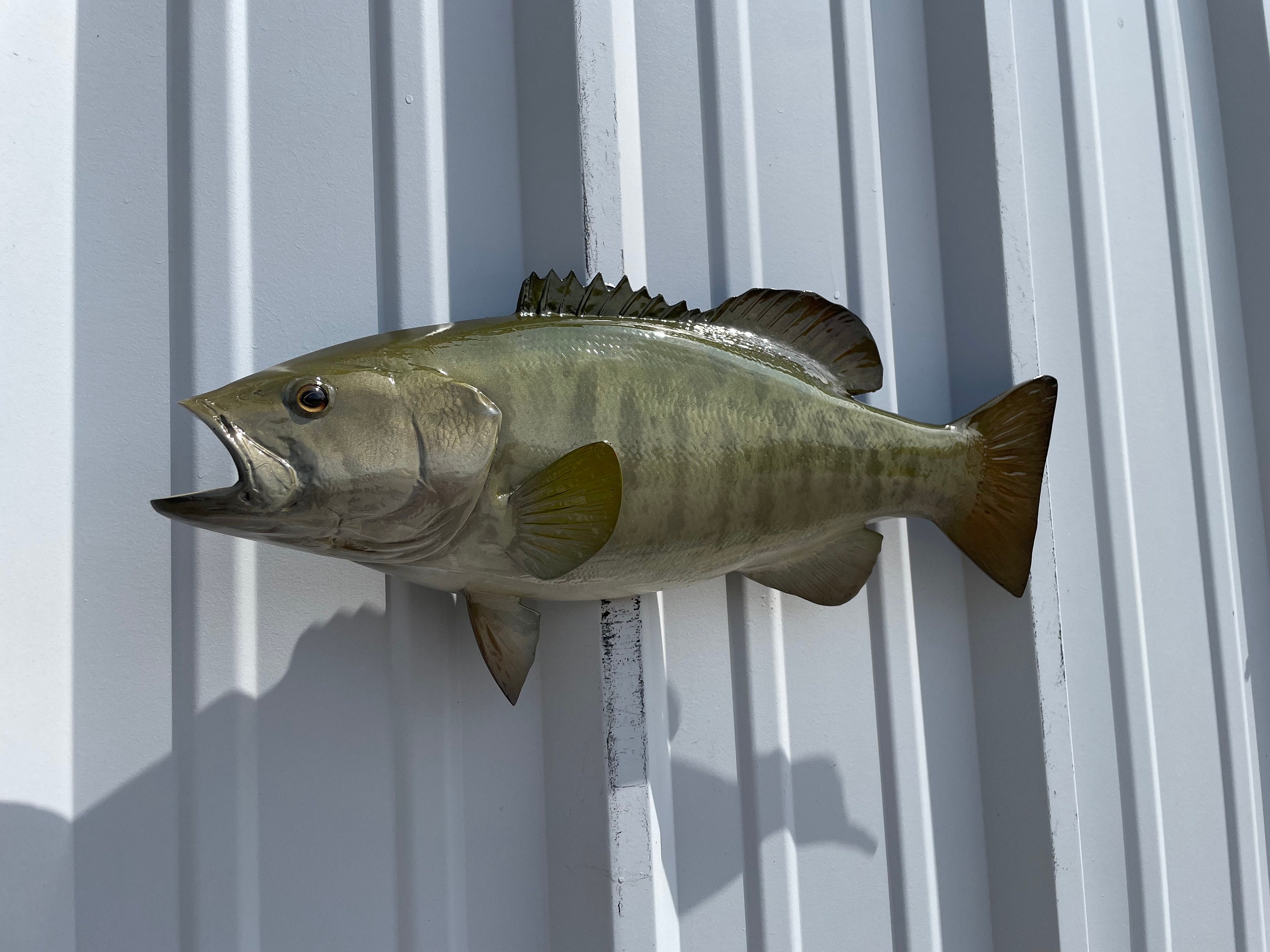 Smallmouth Bass (green) Fish Mount - 20 Inches - Half Mount - Etsy