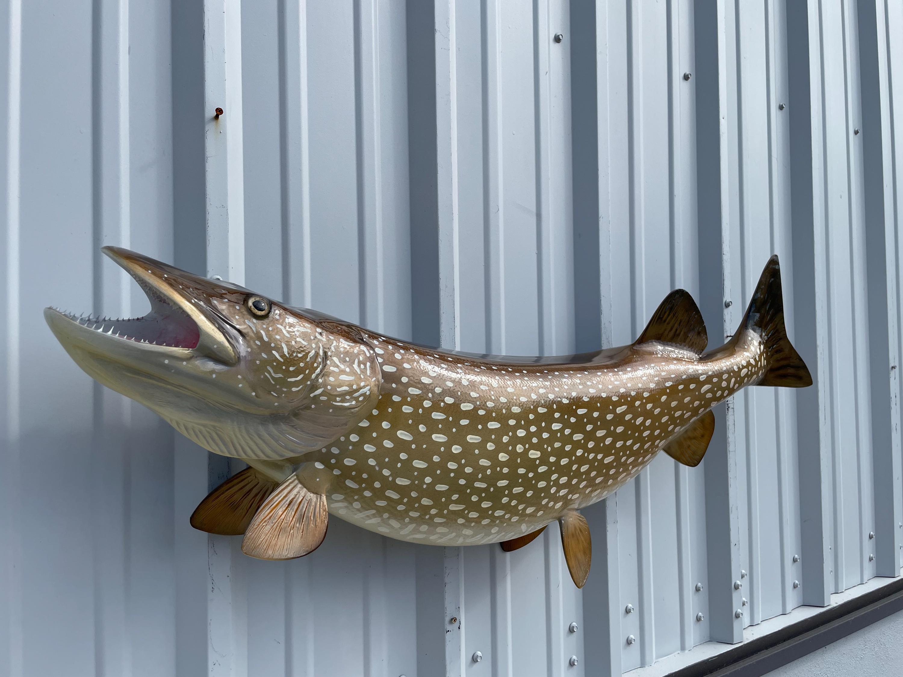Northern Pike Fish Mount - 45 Inches - Full Mount Replica - Etsy