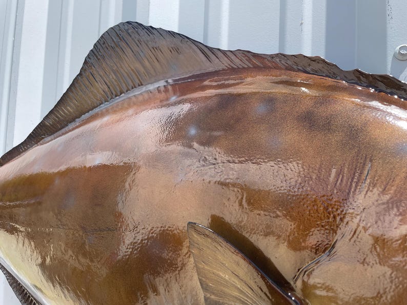 Halibut Fish Mount - 47 Inches - Half Mount - Etsy