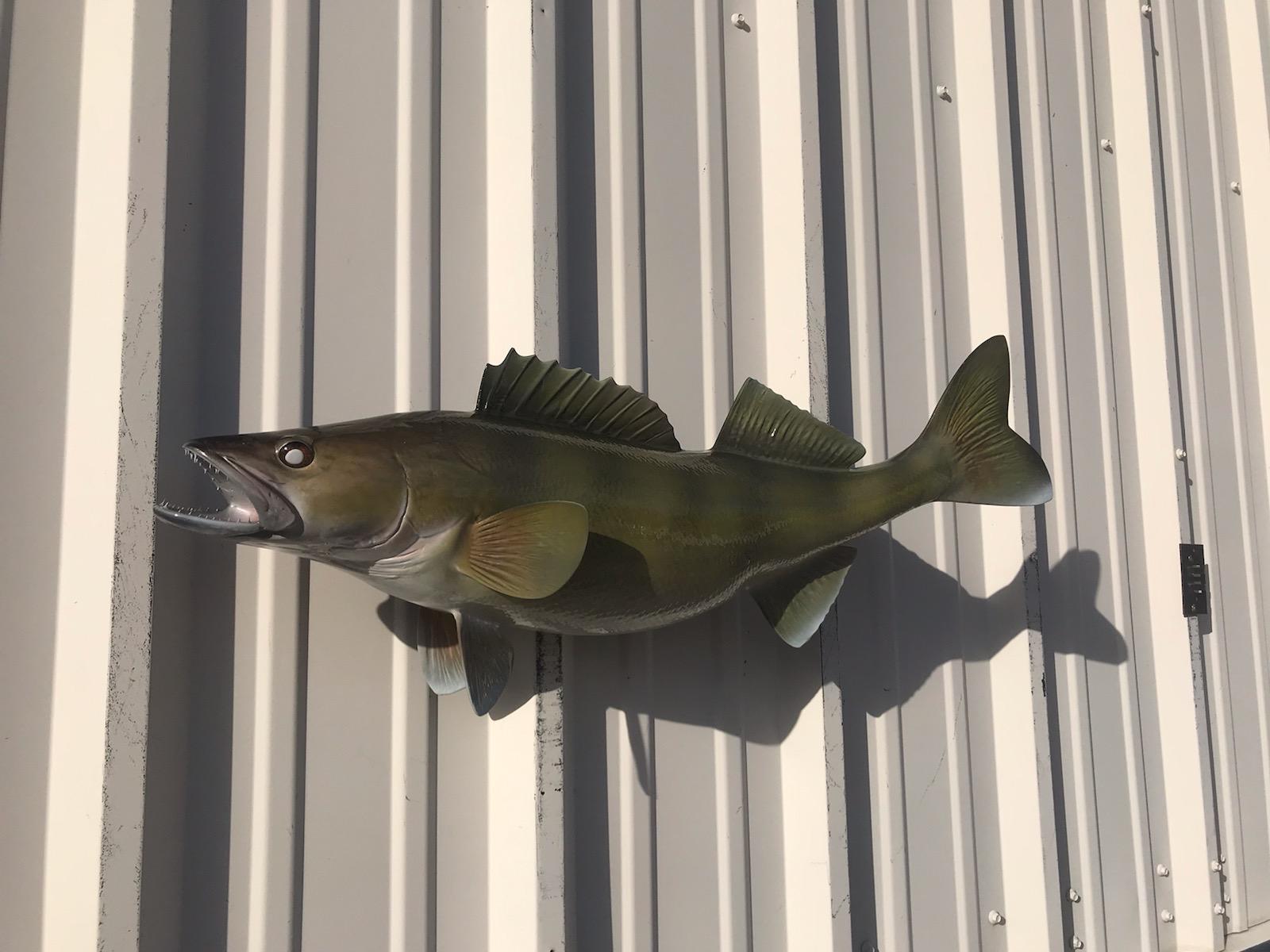Walleye Fish Mount - 29 Inches - Full Mount Replica - Etsy