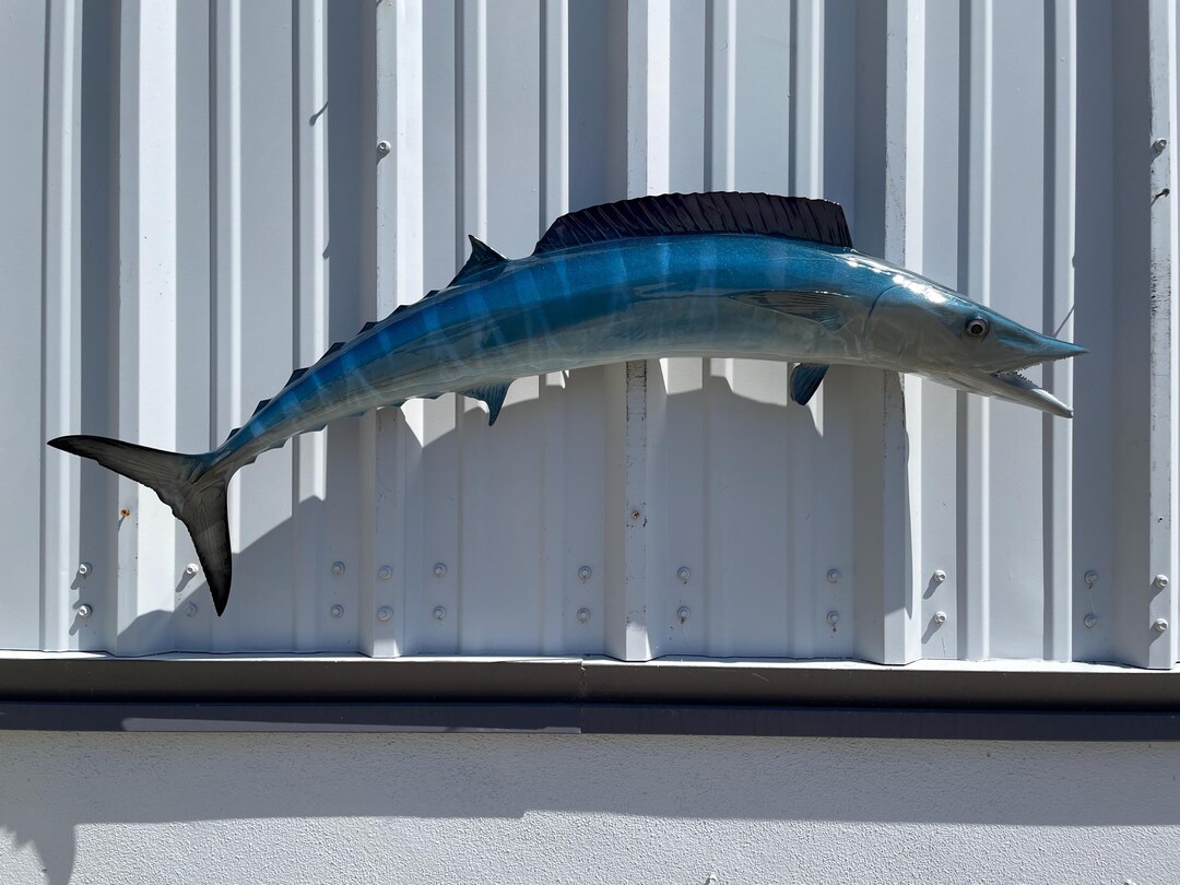 Wahoo Fish Mount - 45 Inches - Full Mount - Etsy