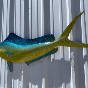 Bull Dolphin (dorado, Mahi Mahi) Fish Mount - 53 Inches - Half Mount - Etsy