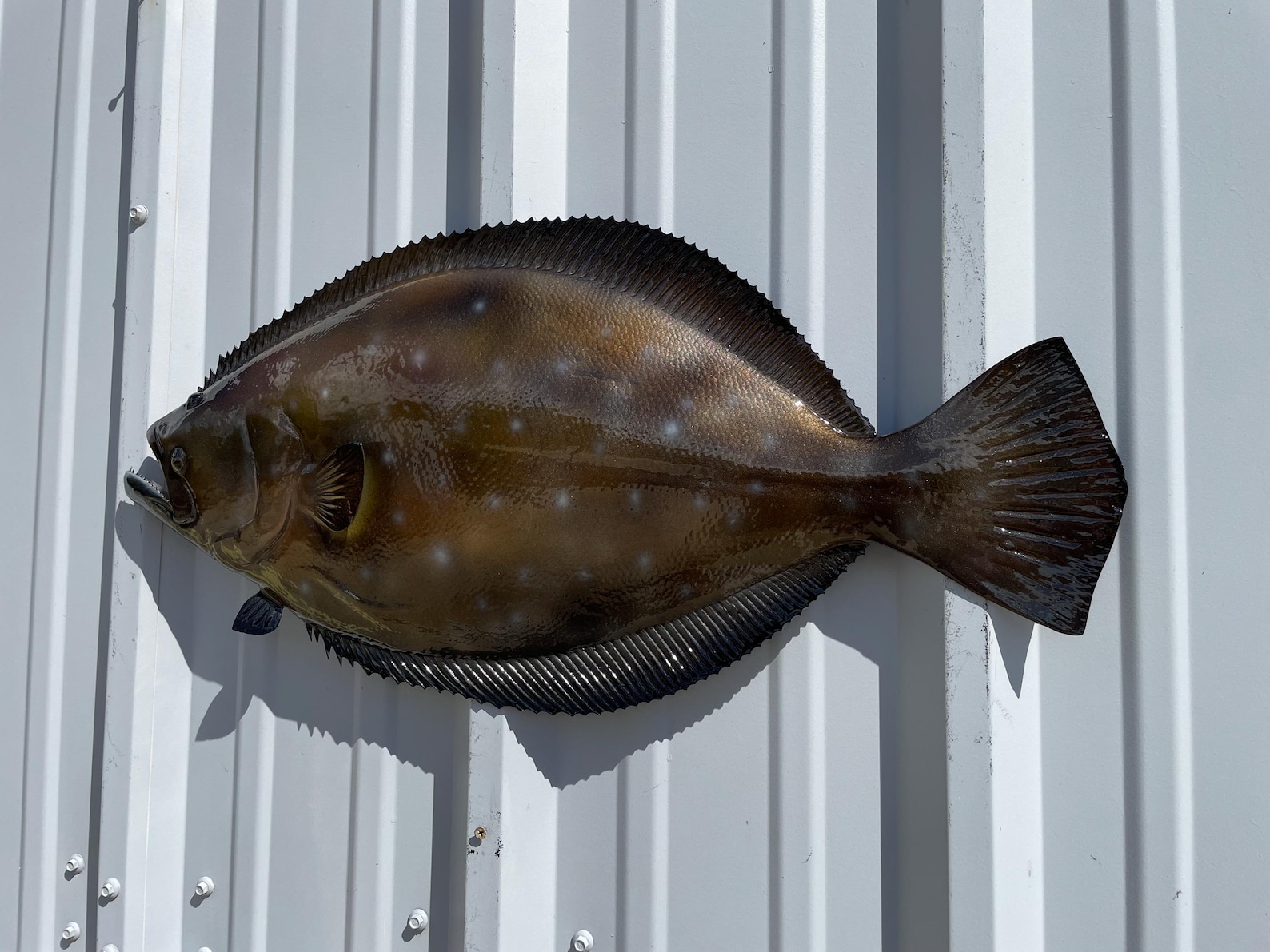 Flounder Fish Mount - 27 Inches - Half Mount - Etsy