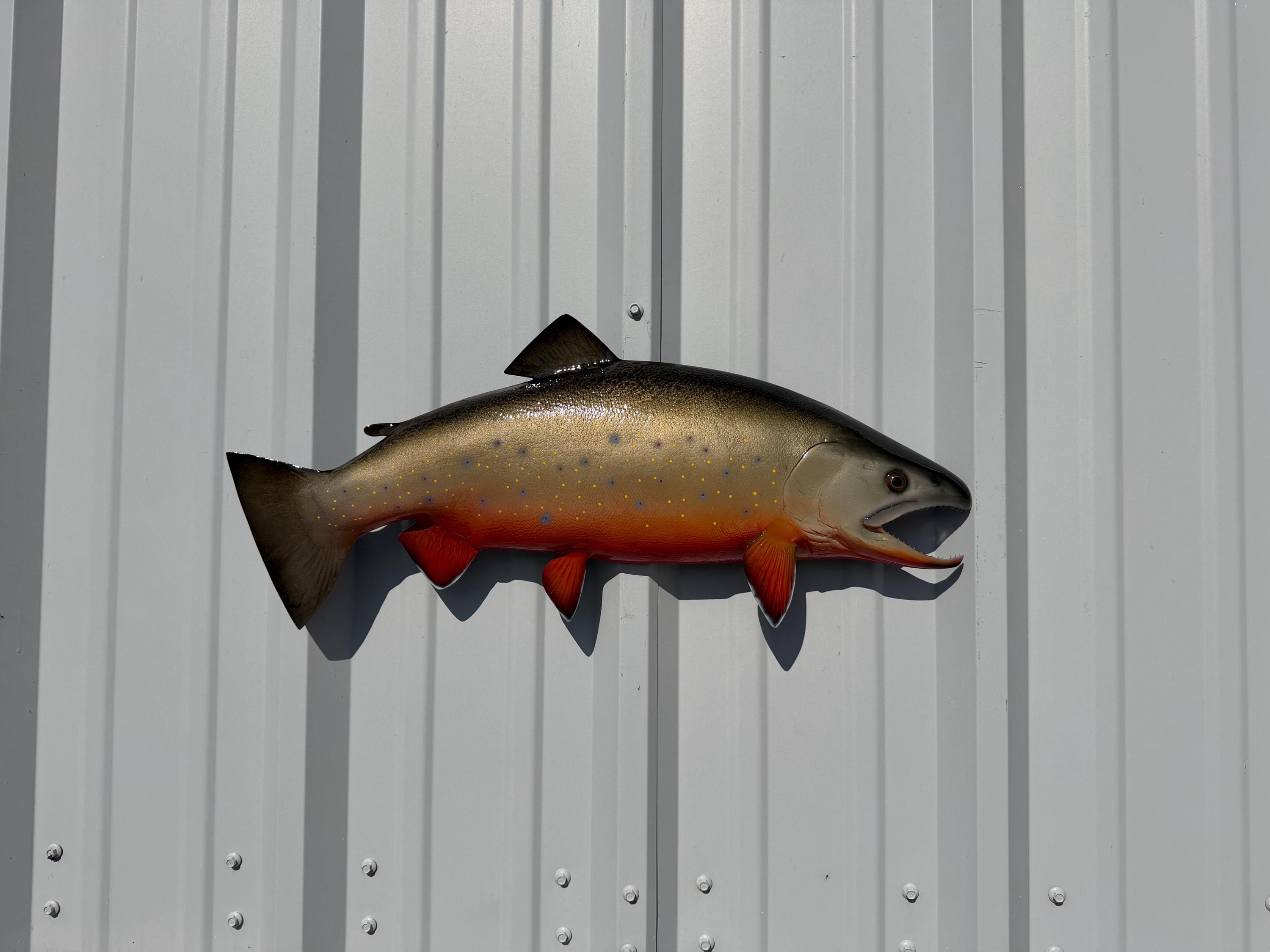 Brook Trout Fish Mount - 24 Inches - Half Mount - Etsy