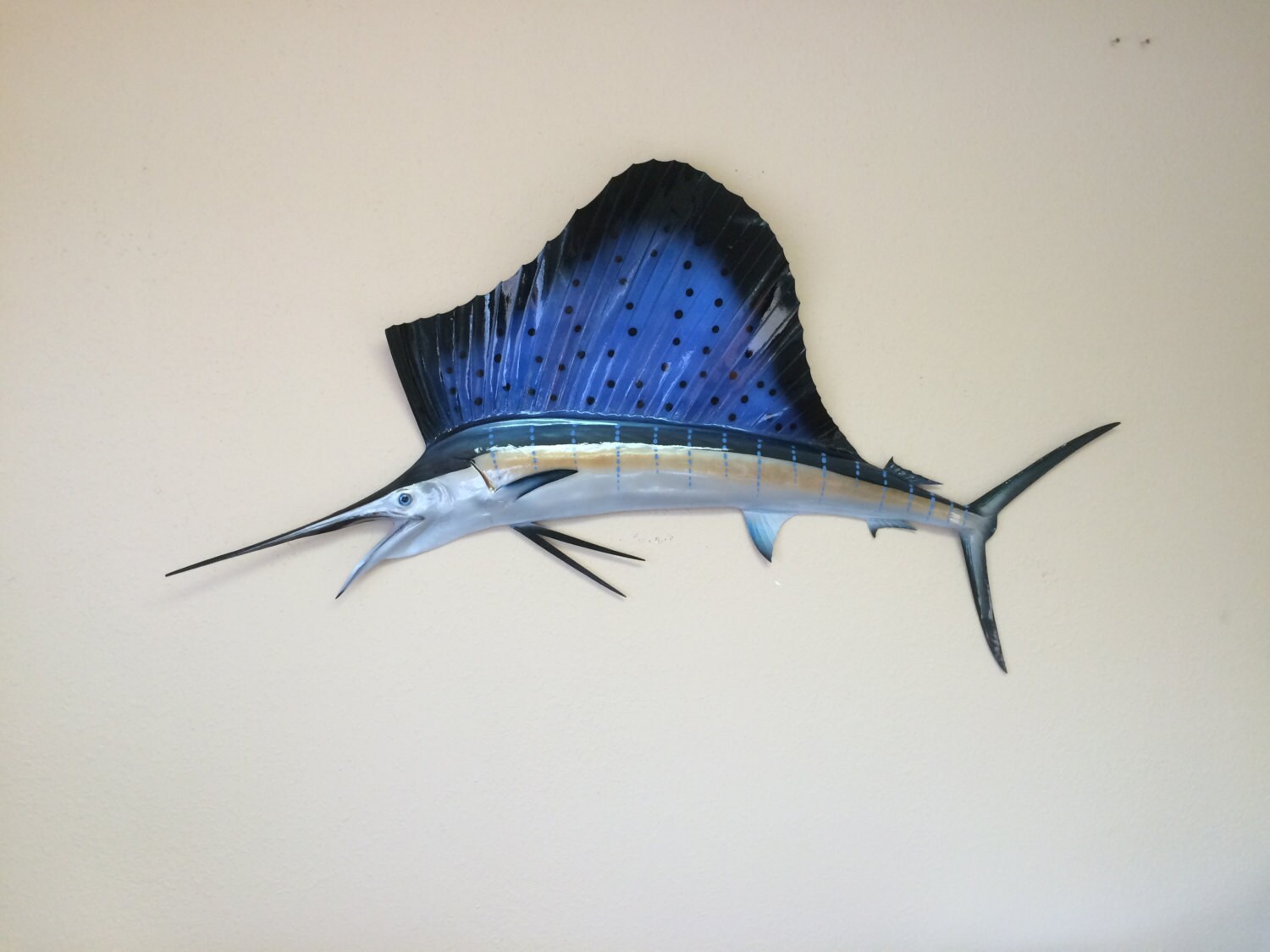 Sailfish Fish Mount 58 Inches Half Mount | Etsy