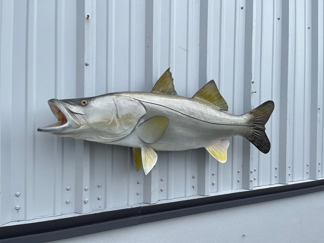 Snook Fish Mount - 44 Inches - Full Mount - Etsy