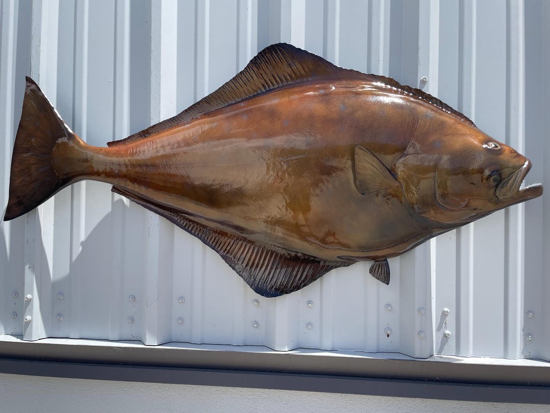 Halibut Fish Mount - 47 Inches - Half Mount - Etsy