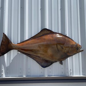 Halibut Fish Mount - 47 Inches - Half Mount - Etsy