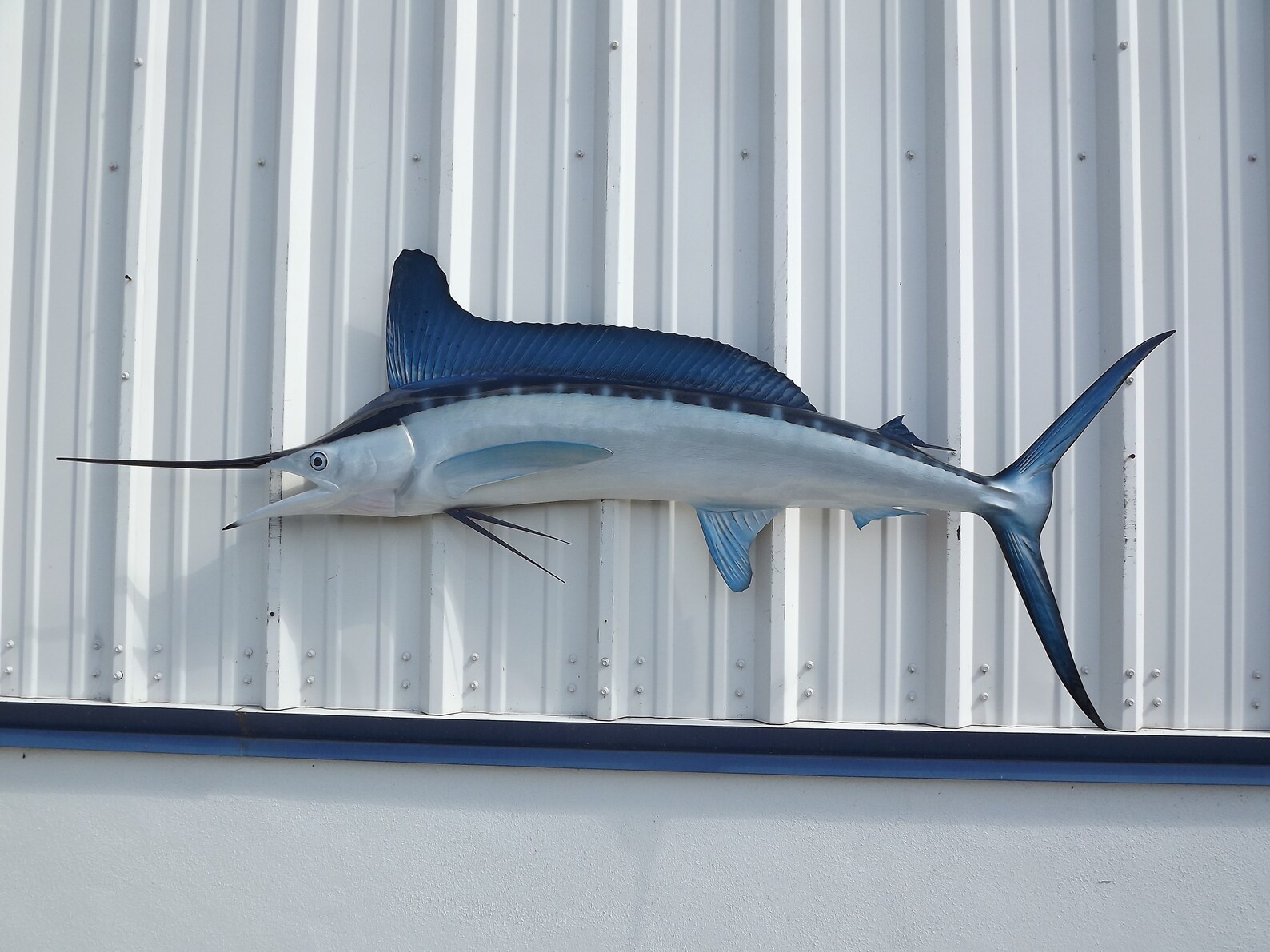 White Marlin Fish Mount - 75 Inches - Half Mount - Etsy