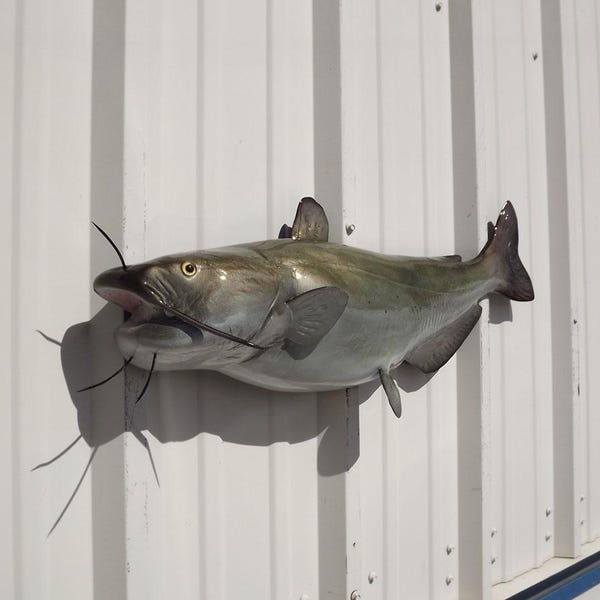 FishMounts - Etsy