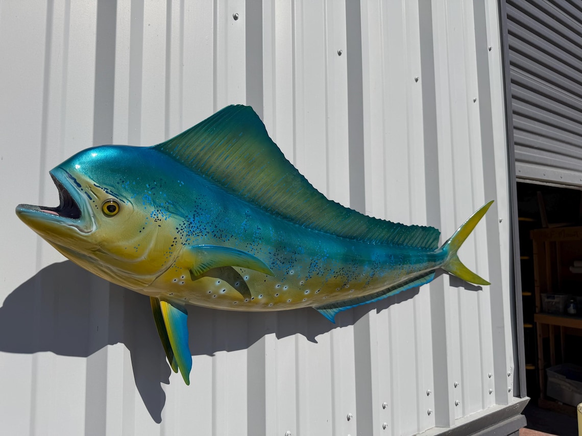 Cow Dolphin (dorado, Mahi Mahi) Fish Mount - 51 Inches - Full Mount ...