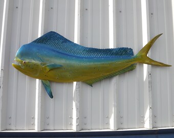 40'' Bull Dolphin / Mahi-mahi Half-side Fish Mount - Etsy