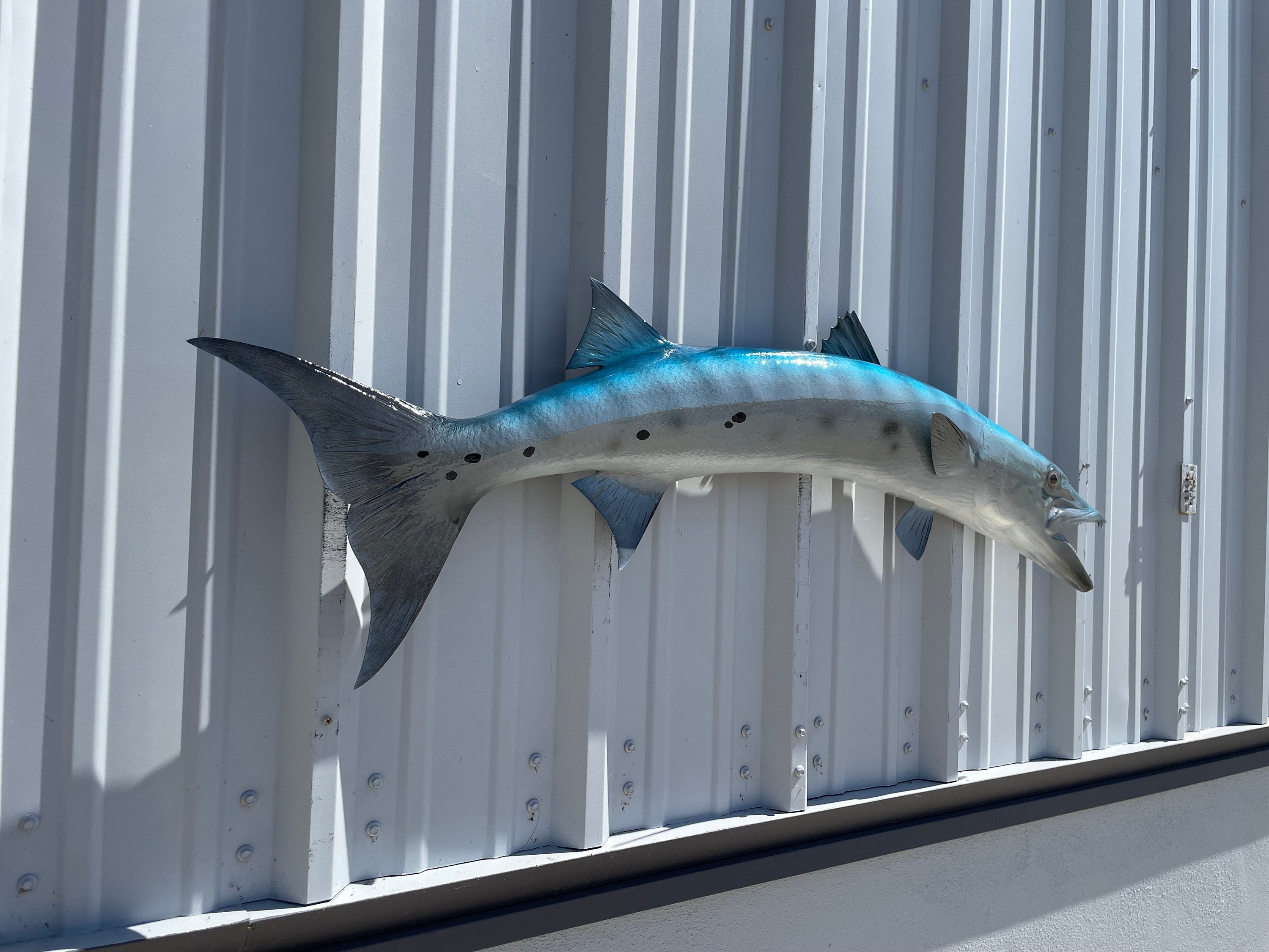 Barracuda Fish Mount - 53 Inches - Half Mount - Etsy