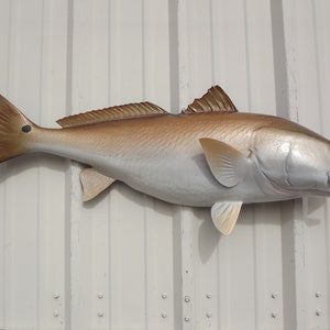 Redfish Fish Mount 40 Inches Half Mount - Etsy