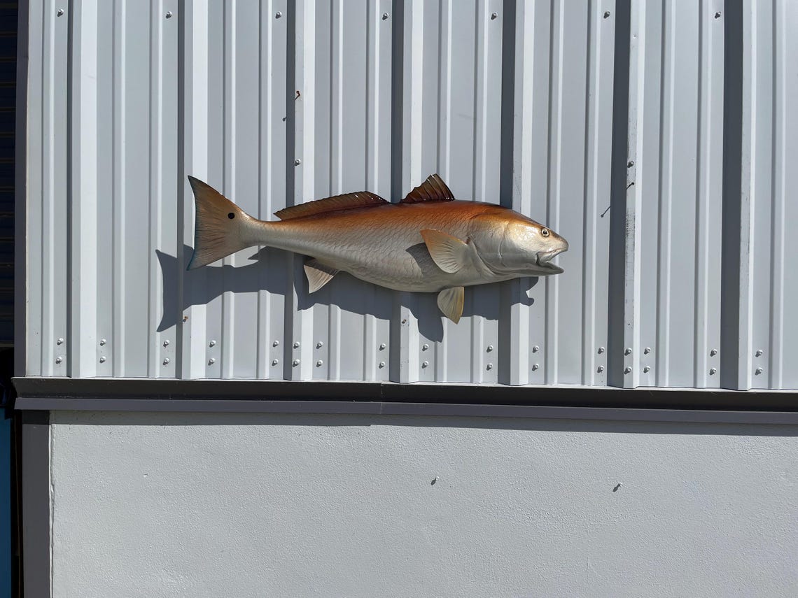 In Stock - Redfish Fish Mount - 40 Inches - Half Mount - Etsy