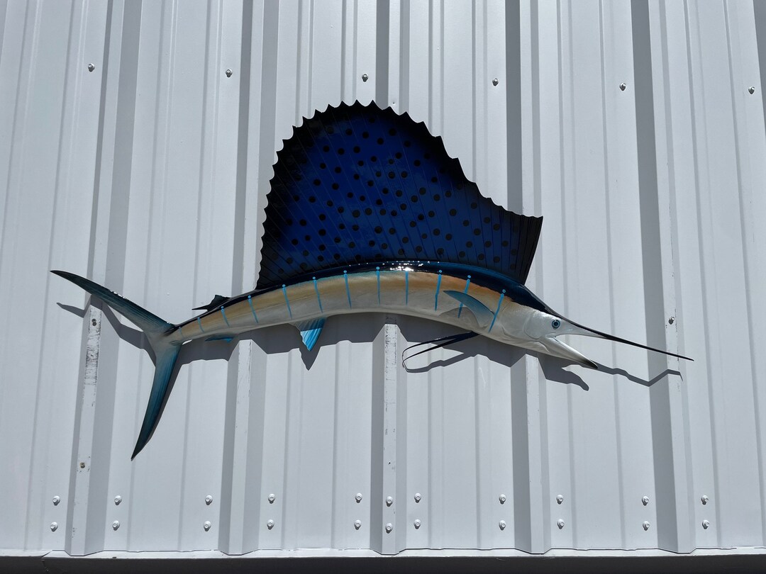 In Stock - Sailfish Fish Mount - 52 Inches - Half Mount - Etsy