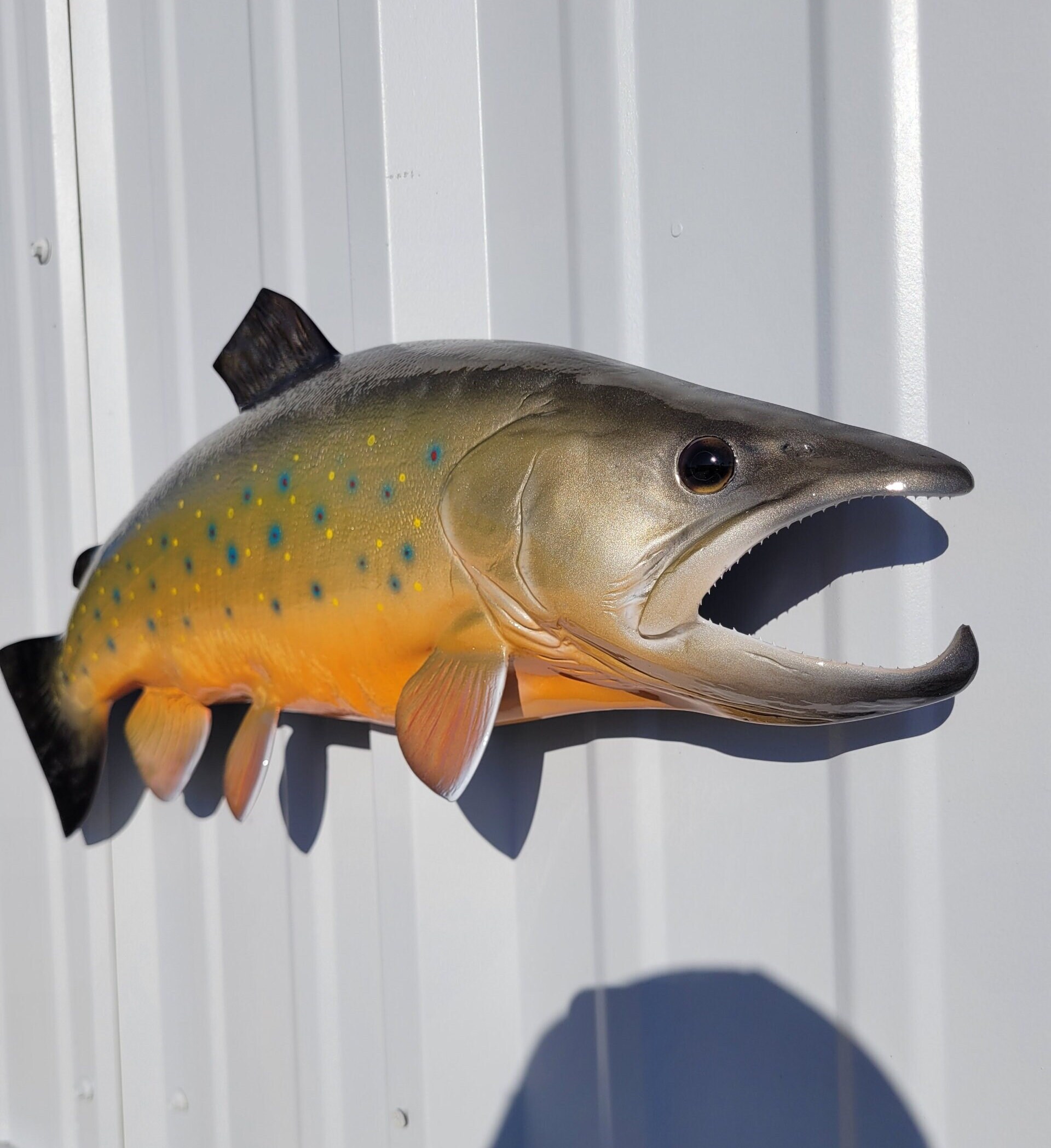 Brook Trout Fish Mount - 24 Inches - Half Mount - Etsy