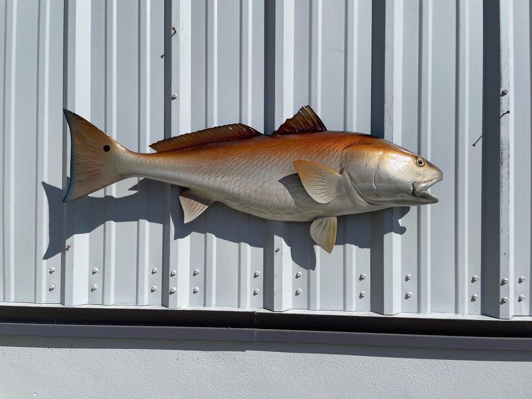 Redfish Fish Mount 40 Inches Half Mount - Etsy