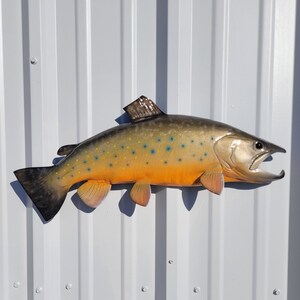 Brook Trout Fish Mount - 24 Inches - Half Mount - Etsy