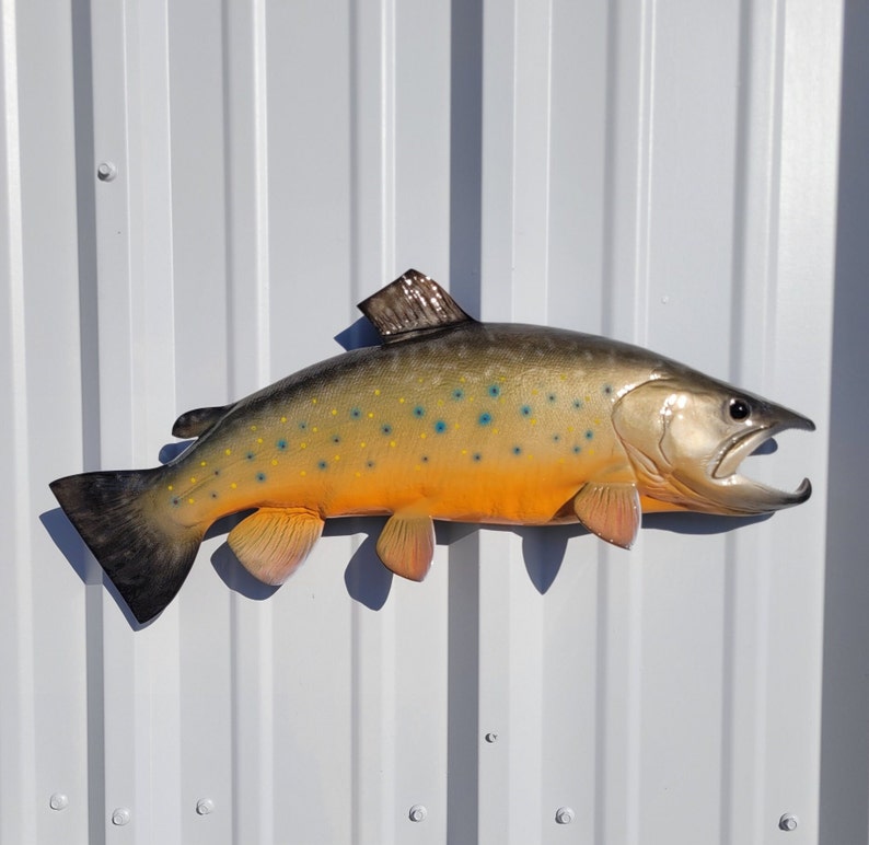 Brook Trout Fish Mount - 24 Inches - Half Mount - Etsy