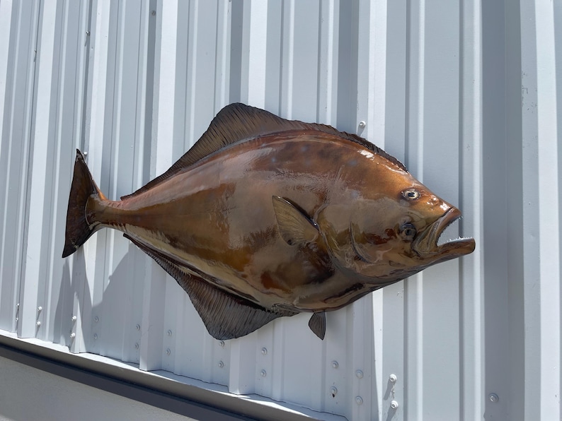 Halibut Fish Mount - 47 Inches - Half Mount - Etsy