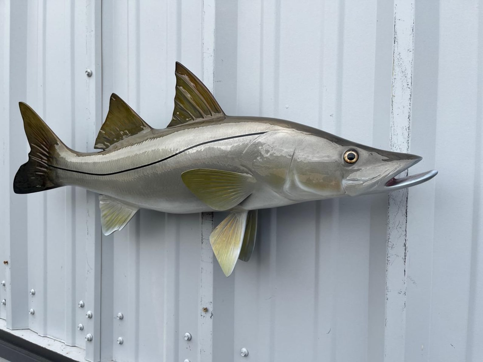 Snook Fish Mount - 31 Inches - Full Mount - Etsy