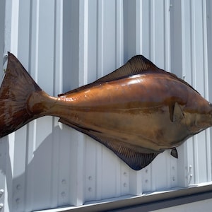 Halibut Fish Mount - 47 Inches - Half Mount - Etsy
