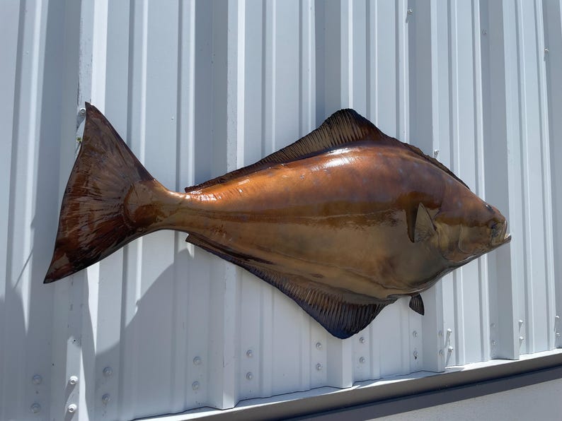 Halibut Fish Mount - 47 Inches - Half Mount - Etsy