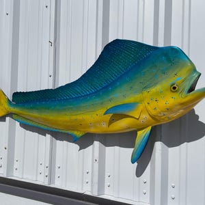 Bull Dolphin (dorado, Mahi Mahi) Fish Mount - 56 Inches - Full Mount - Etsy