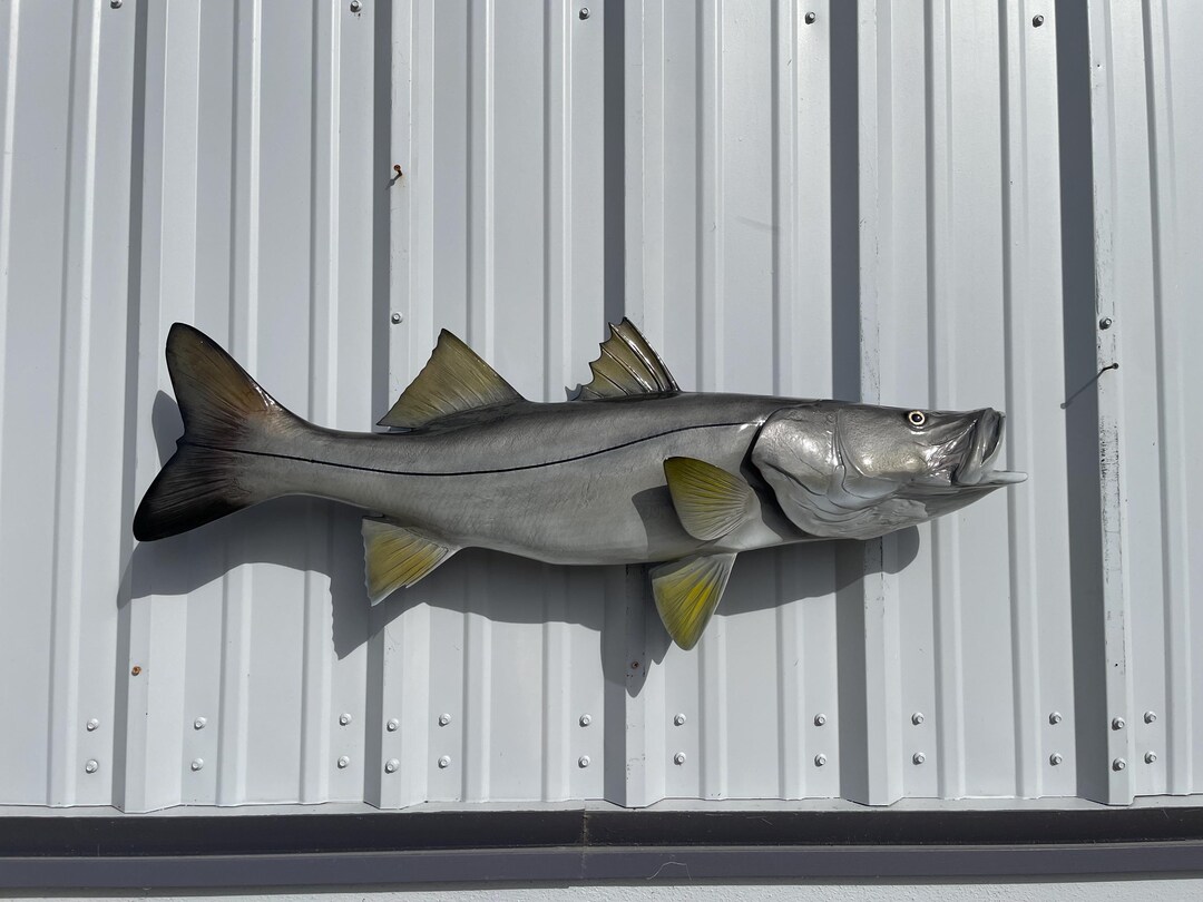 Snook Fish Mount - 40 Inches - Full Mount - Etsy