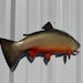 Brook Trout Fish Mount - 24 Inches - Half Mount - Etsy