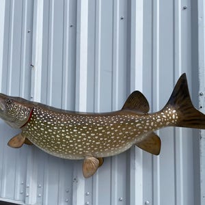 Northern Pike Fish Mount - 45 Inches - Full Mount Replica - Etsy