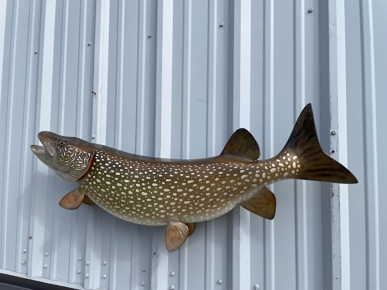 Northern Pike Fish Mount - 45 Inches - Full Mount Replica - Etsy
