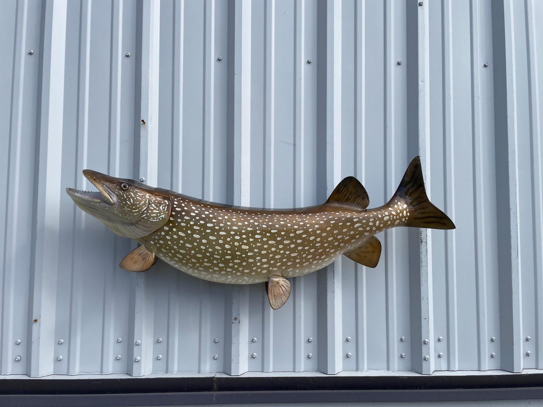 Northern Pike Fish Mount - 45 Inches - Full Mount Replica - Etsy