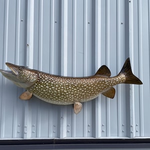 Northern Pike Fish Mount - 45 Inches - Full Mount Replica - Etsy