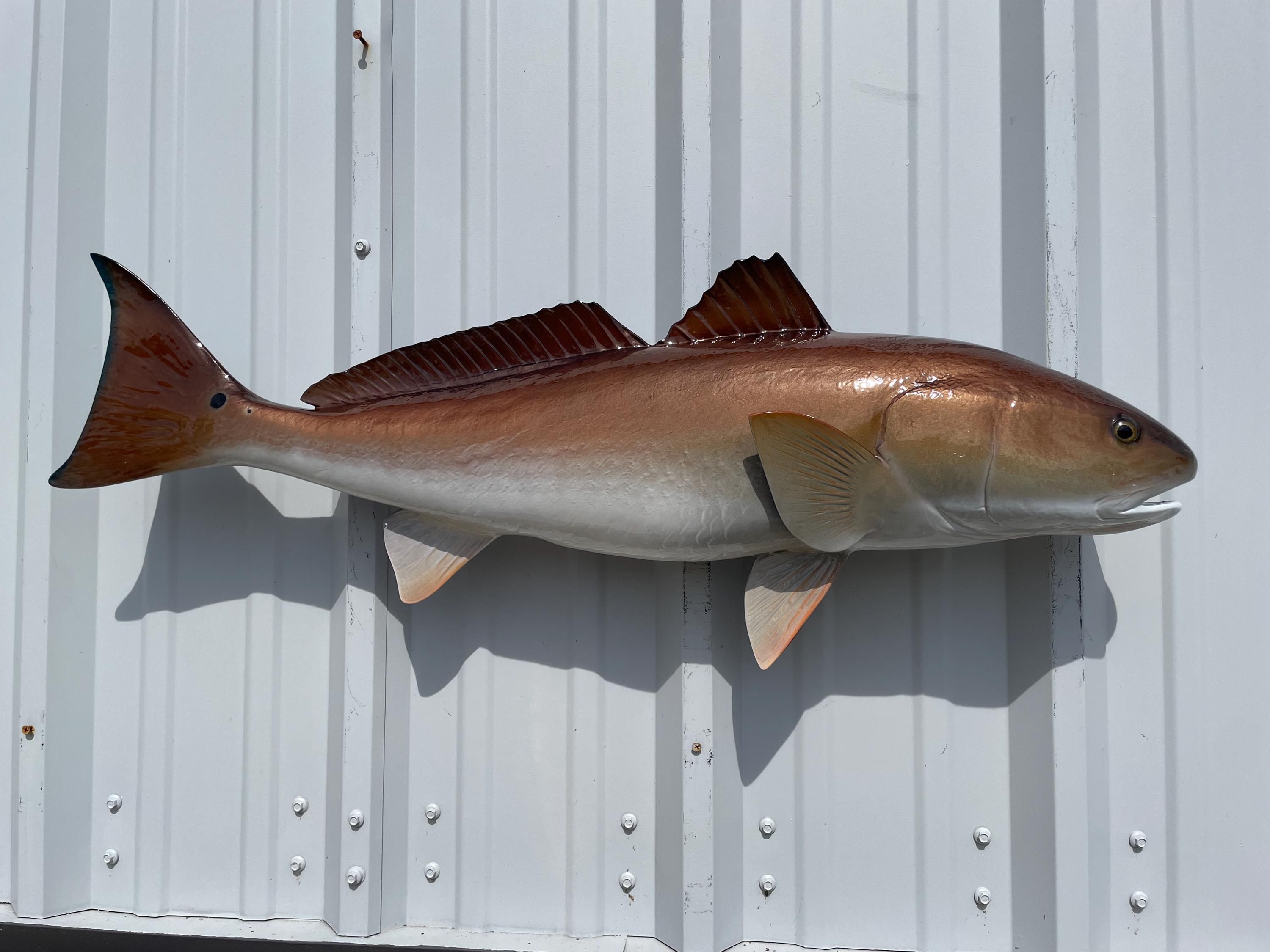 Redfish Fish Mount - 36 Inches - Full Mount Replica - Etsy