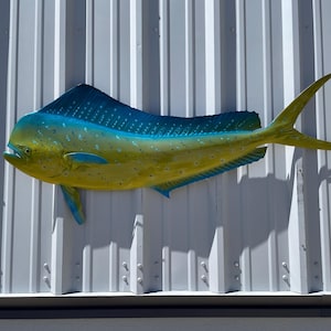 Bull Dolphin (dorado, Mahi Mahi) Fish Mount - 53 Inches - Half Mount - Etsy