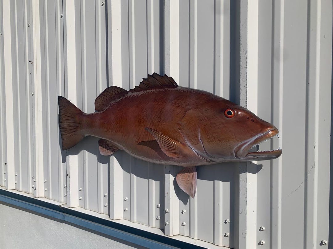 In Stock - Cubera Snapper Fish Mount - 42 Inches - Half Mount - Etsy