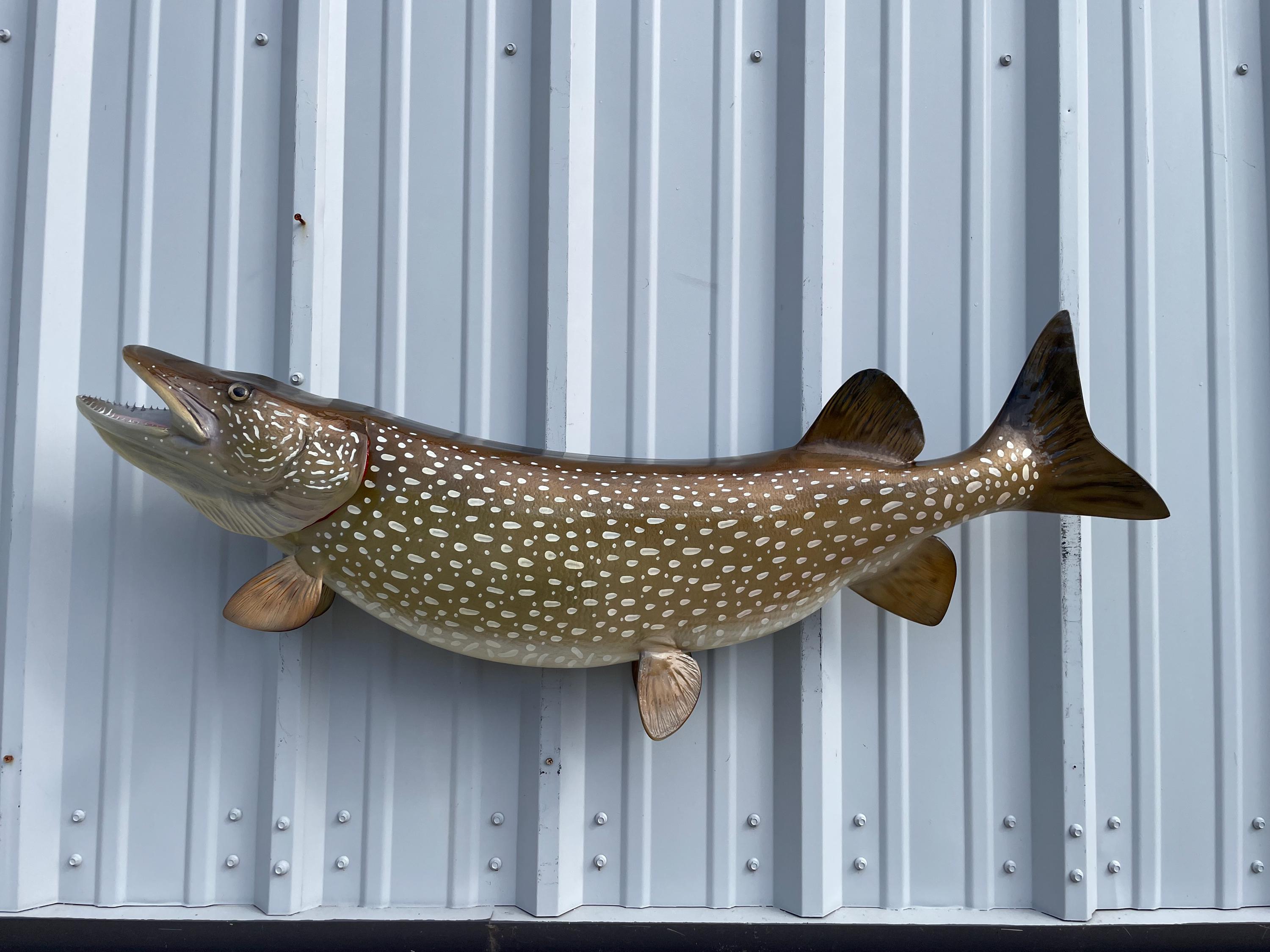Northern Pike Fish Mount - 45 Inches - Full Mount Replica - Etsy