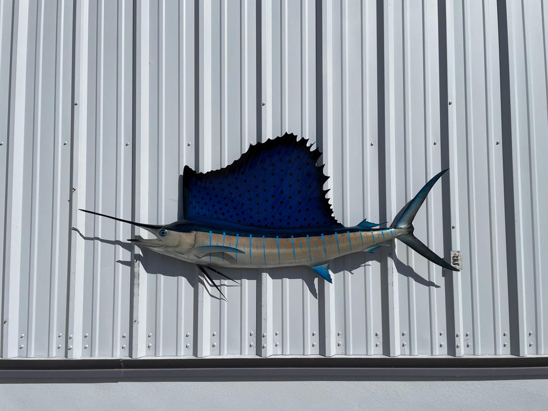 Sailfish Fish Mount - 71 Inches - Half Sided Fish Replica - Etsy