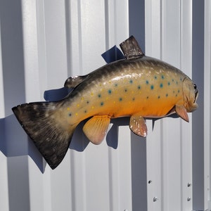 Brook Trout Fish Mount - 24 Inches - Half Mount - Etsy