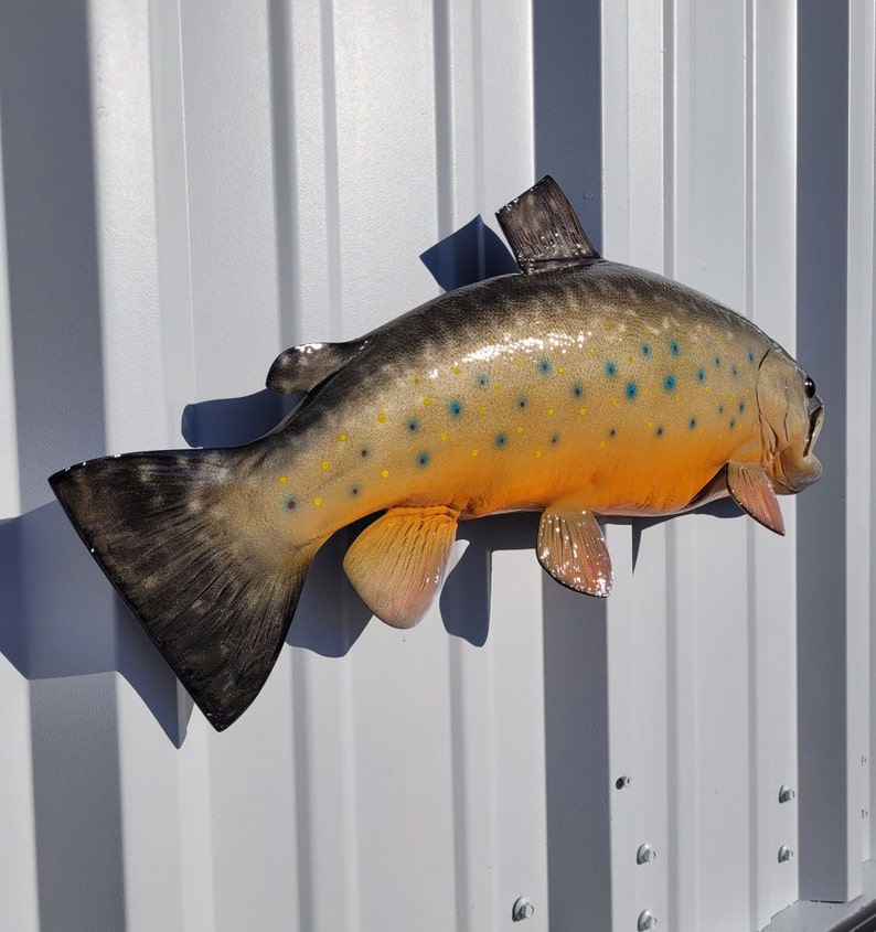 Brook Trout Fish Mount - 24 Inches - Half Mount - Etsy