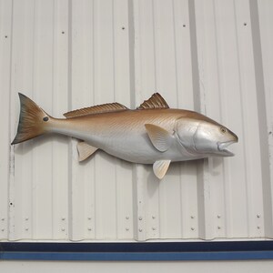 Redfish Fish Mount 40 Inches Half Mount - Etsy