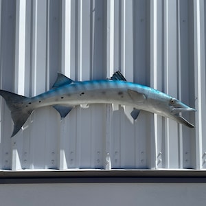 Barracuda Fish Mount - 53 Inches - Half Mount - Etsy