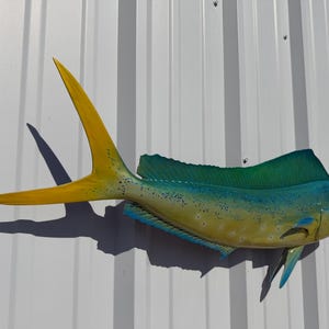 Bull Dolphin (dorado, Mahi Mahi) Fish Mount - 36 Inches - Full Mount - Etsy